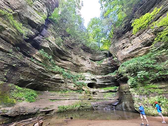 Wildcat Canyon's towering sandstone walls create a natural cathedral that humbles even the most jaded city dweller.