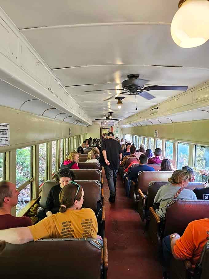 Inside these vintage coaches, strangers become fellow adventurers sharing one magnificent journey through the wilderness together.