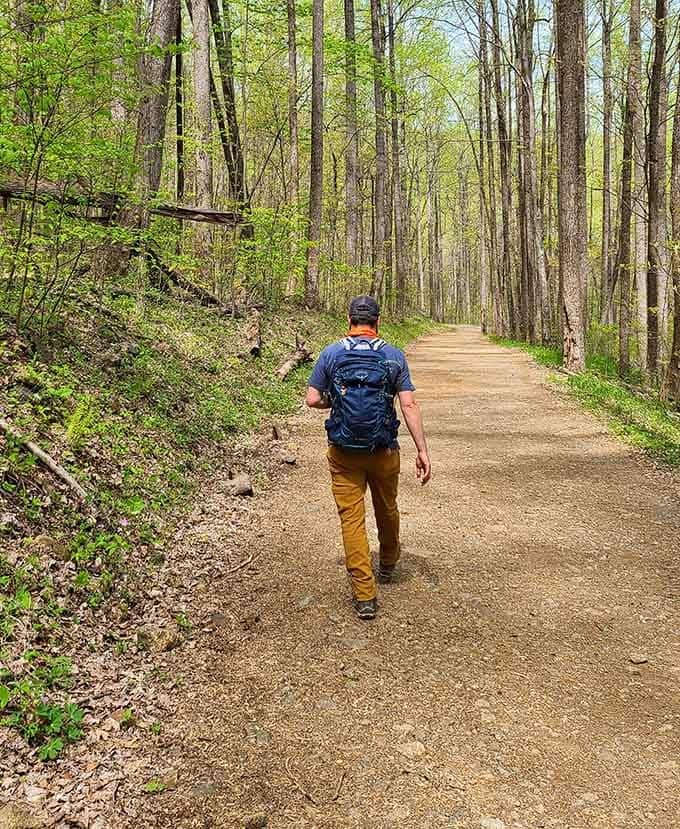 The calm before the scramble: enjoy this peaceful forest stroll while your knees still work.