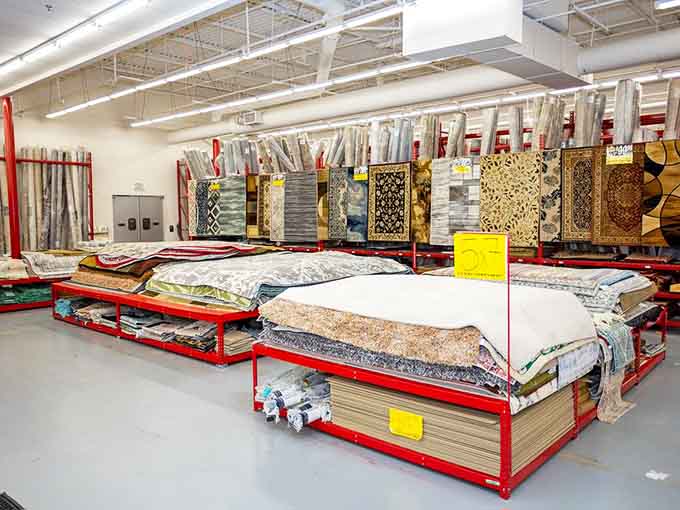 Area rugs that transform rooms without transforming your bank account into a pumpkin at midnight.
