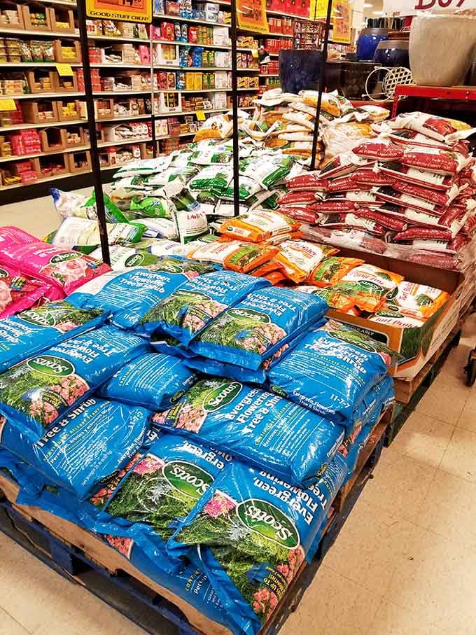 Lawn and garden supplies ready to transform your yard into something the neighbors will actually compliment you on.