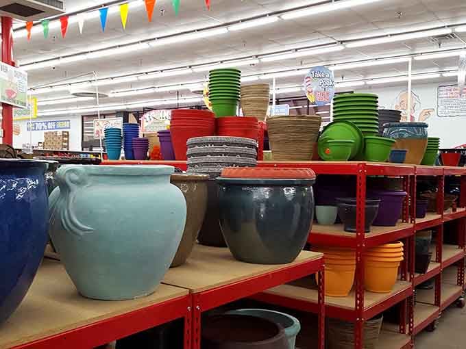 Garden pots in every color of the rainbow prove that outdoor beauty doesn't require indoor budgets.