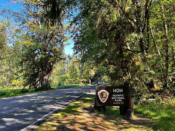 The Hoh Rain Forest entrance welcomes you to one of Earth's wettest, greenest, most magical outdoor cathedrals.