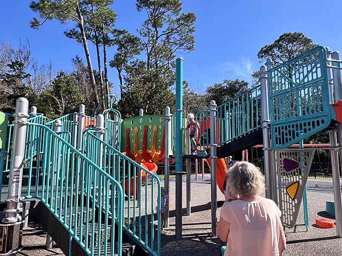 Waterfront Park offers playgrounds where kids burn energy while parents contemplate the genius of outdoor recreation.