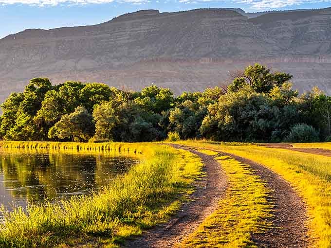 Golden hour transforms this peaceful trail into something resembling a Bob Ross painting come to life.