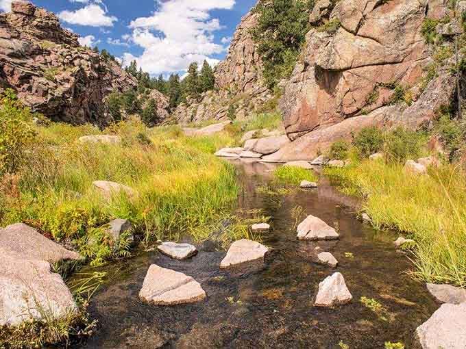 The creek meanders through like it's got all the time in the world, because frankly, it does.
