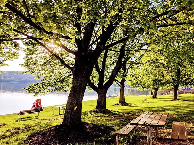 Red Jacket Park understands that lakeside relaxation requires nothing more than trees, benches, and water that knows how to sparkle.