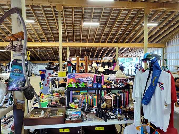 One person's attic cleanout becomes your next conversation starter, displayed with the pride of a museum curator on lunch break.