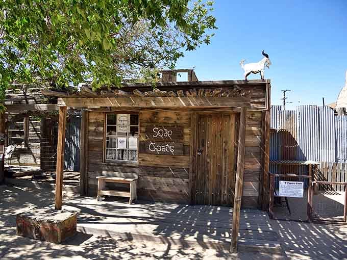 The quirky charm extends to every corner, where even the goat shed looks like it belongs in a frontier settlement.