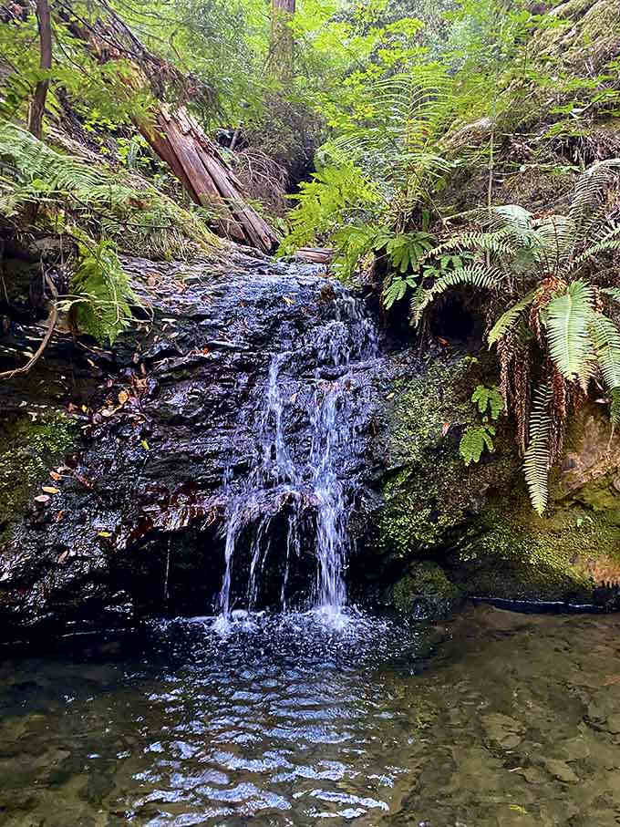 Tiptoe Falls doesn't require fancy footwork, just an appreciation for water doing its peaceful woodland thing.