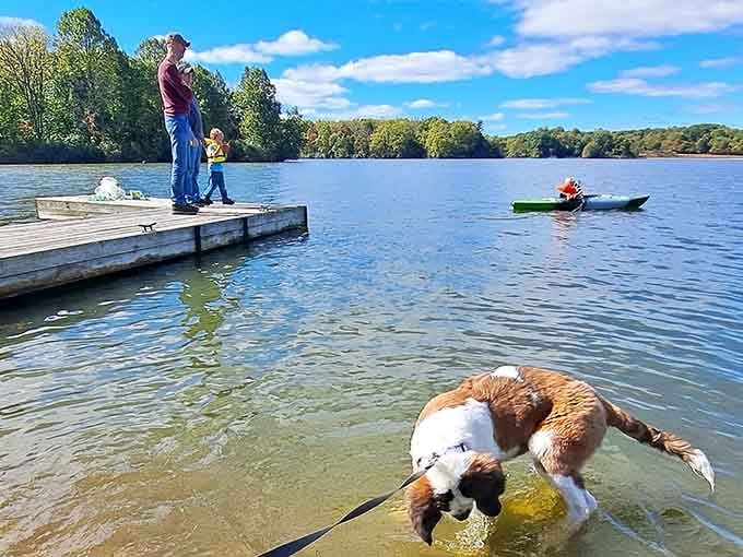 When your dog discovers paradise before you do, complete with fishing docks and endless blue skies.