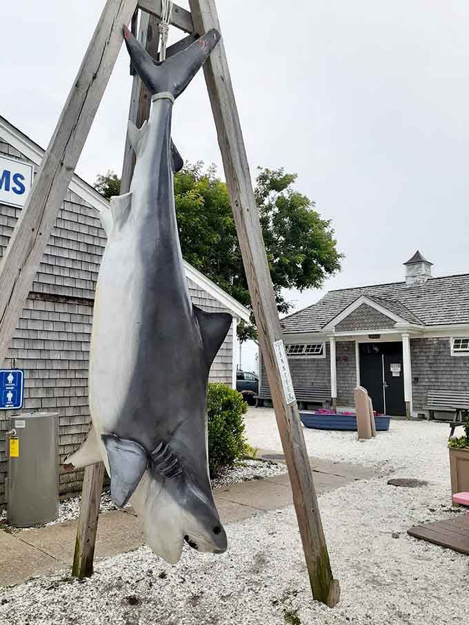 Nothing says "welcome to fishing country" quite like a shark that's bigger than your first apartment.