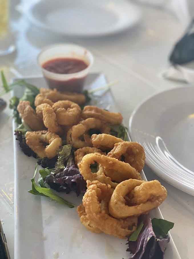 Golden calamari rings served on fresh greens—proof that fried seafood can be both indulgent and Instagram-worthy.