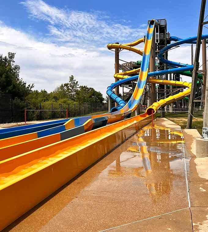 Multiple lanes mean you can finally settle that decades-old debate about who's the fastest slider in the family.