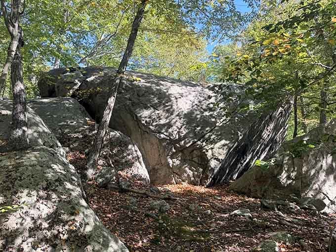 Glacial erratics the size of Buicks dot the landscape, dropped here millennia ago like a giant's forgotten marbles.