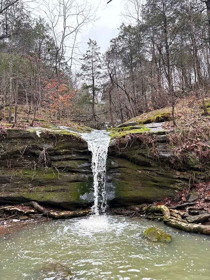 This waterfall proves Illinois can do dramatic scenery without borrowing from neighboring states or special effects.
