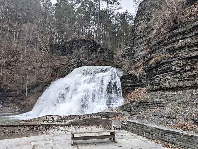 The lower falls feed into a natural swimming hole that makes every municipal pool look like a sad bathtub by comparison.