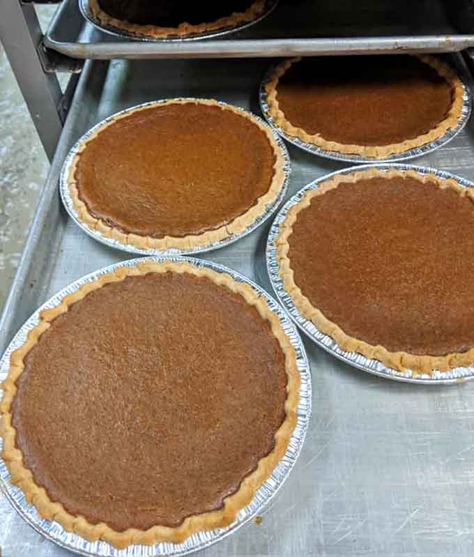 Pumpkin pies lined up like soldiers, ready to save your holiday dinner from that awkward store-bought situation you considered.