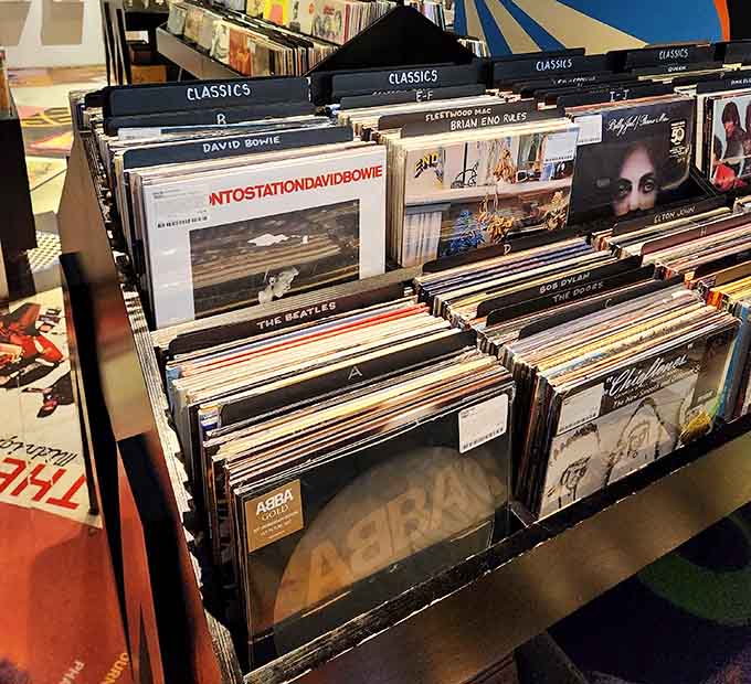 David Bowie and The Beatles sharing shelf space, proving that classics never go out of style or fashion.