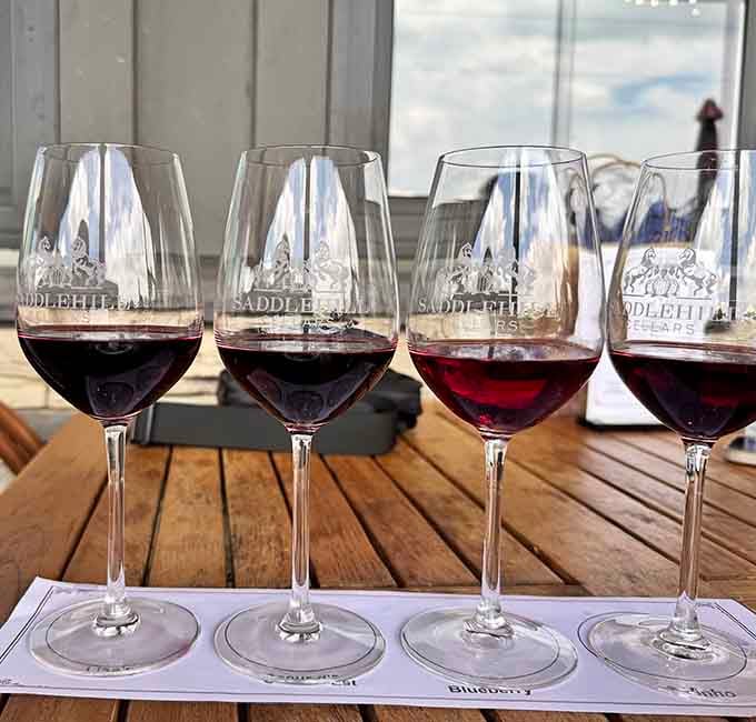 Red wine flights catching the golden hour light, because sometimes the best decisions come in groups of four instead of one commitment.