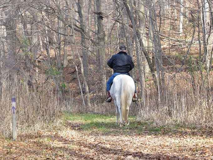 Channeling your inner cowboy on trails that make you feel like you're in a Western, minus the tumbleweeds.