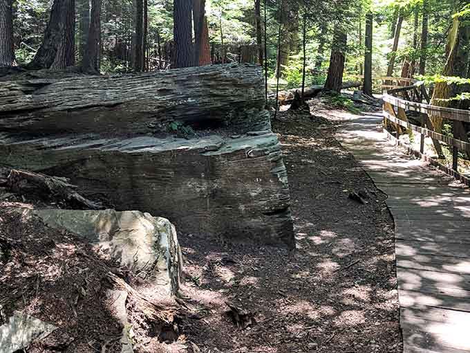 When the trail looks this inviting, even your excuses for staying home start to feel pretty weak.