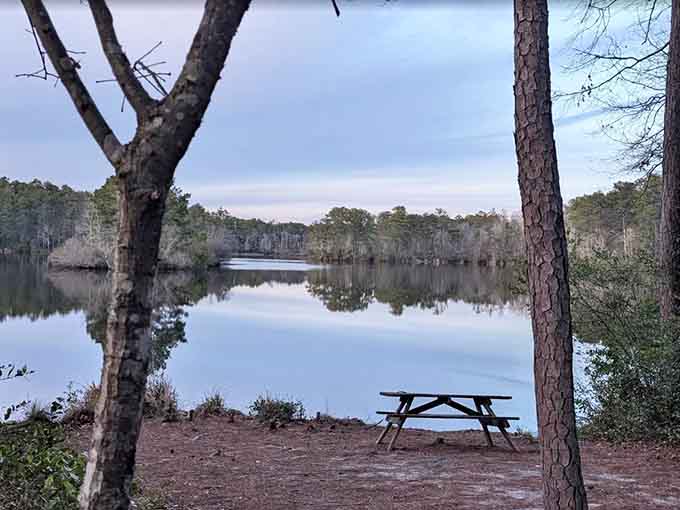 That lone picnic table facing the mirror-still lake is basically an invitation to rethink your entire lunch routine.