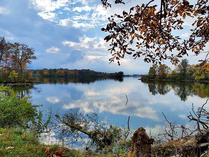 Autumn's mirror image doubles the beauty, proving nature doesn't need filters to look absolutely stunning on camera.