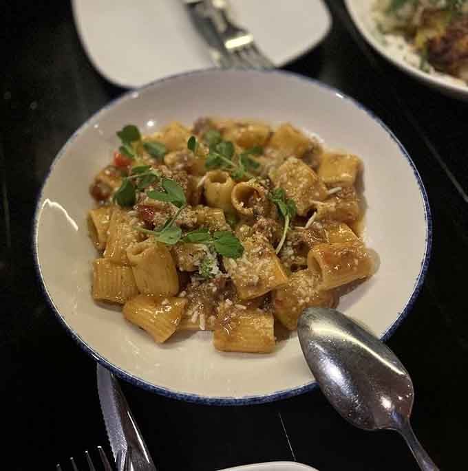This lamb rigatoni is what happens when pasta gets serious about flavor and decides to overachieve spectacularly.