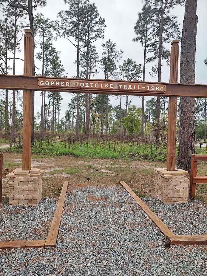 The Gopher Tortoise Trail entrance stands ready to introduce you to the park's most industrious underground architects and their neighbors.