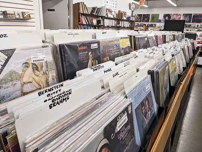 From Jimi Hendrix to modern indie, these bins contain the soundtrack to multiple generations of music lovers.