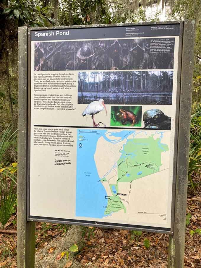 Educational signage that actually makes you want to read it, complete with wildlife photos and helpful maps.