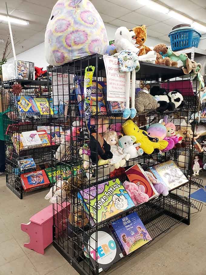The toy section where stuffed animals and games await their second chance at making kids (or nostalgic adults) happy.