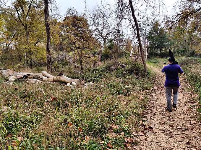 Sometimes the best adventures involve fallen logs, leaf-covered paths, and absolutely no cell phone signal to distract you.