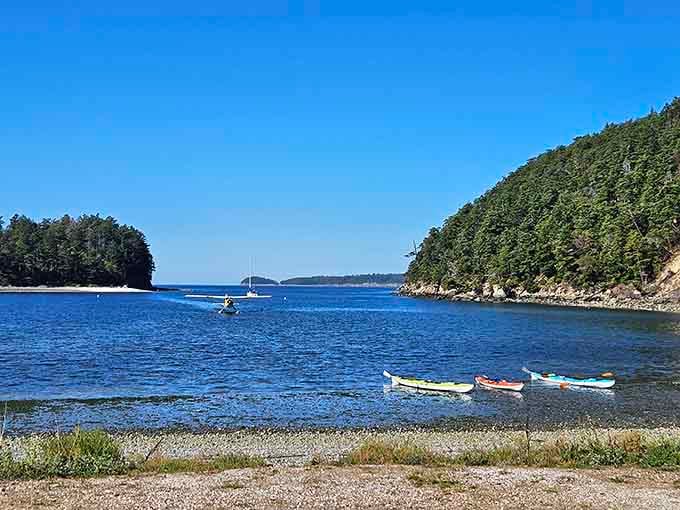Kayakers find their happy place exploring coves that feel like nature's own private screening rooms, no tickets required.