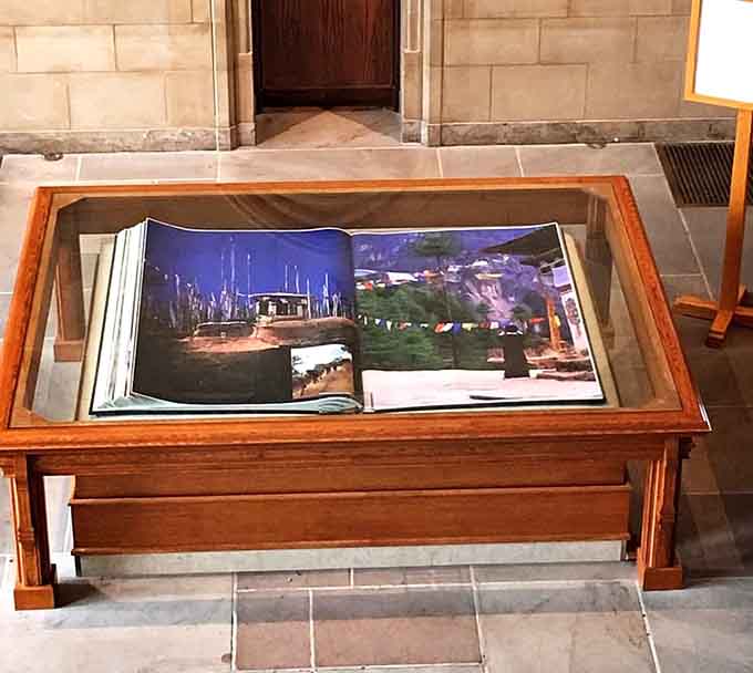 Display cases showcase treasures that remind you libraries are museums for the curious mind.