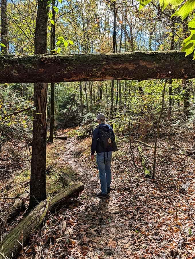 The trail ahead whispers promises of solitude, fresh air, and maybe a few blisters worth bragging about.