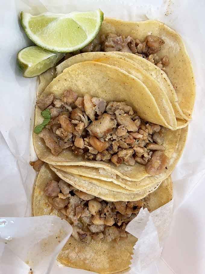 Perfectly seasoned chicken nestled in corn tortillas that actually taste like corn, not regret and cardboard combined.