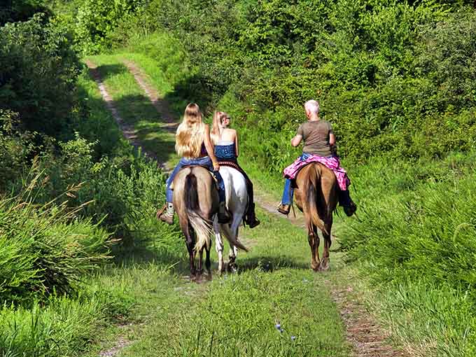 Horseback riding through trails that make you feel like you're in a Western, minus the tumbleweeds and shootouts.