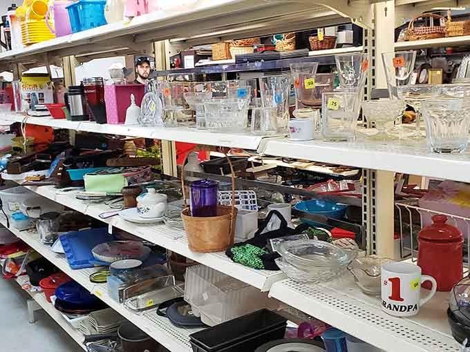 Kitchen essentials and random treasures coexist peacefully, including that "Grandpa" mug someone's grandfather clearly never used enough.