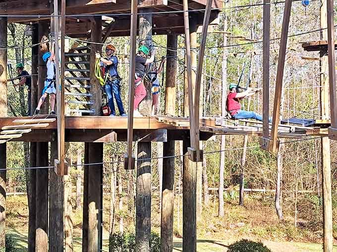 Multiple generations tackle the platforms together, creating memories that'll outlast any theme park souvenir photo.