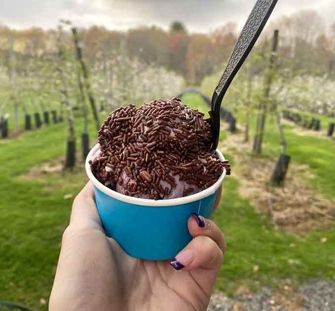 Chocolate sprinkles piled high with an orchard view&mdash;this is what retirement should look like, honestly.