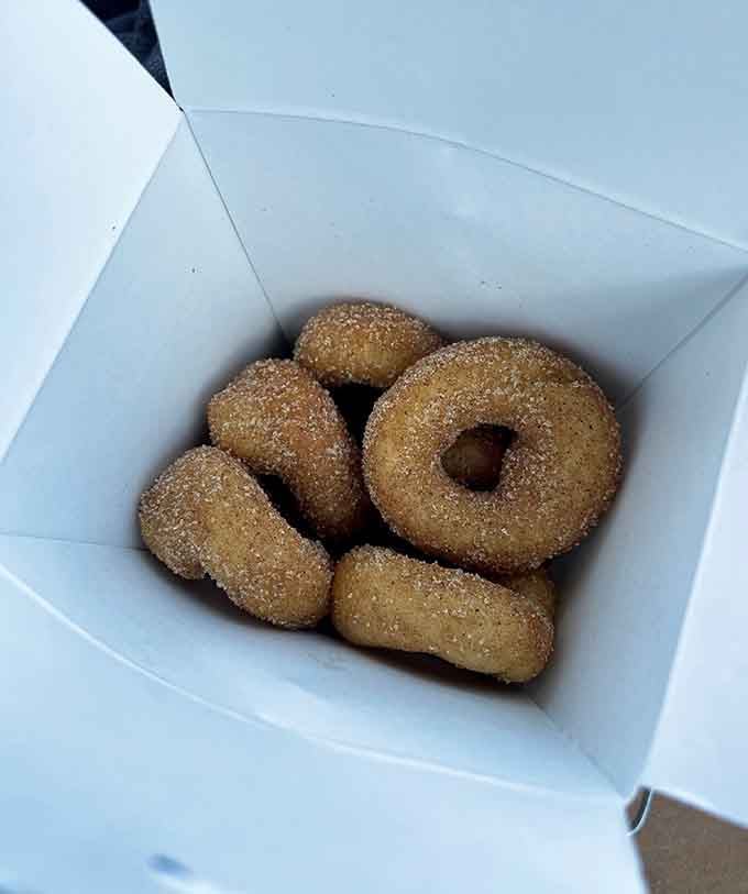 Fresh mini donuts dusted with cinnamon sugar are the perfect sidekick to your morning coffee, like Batman and Robin but tastier.