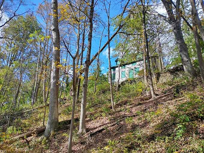 Spotting buildings through dense forest feels like discovering buried treasure, except spookier and way more photogenic.