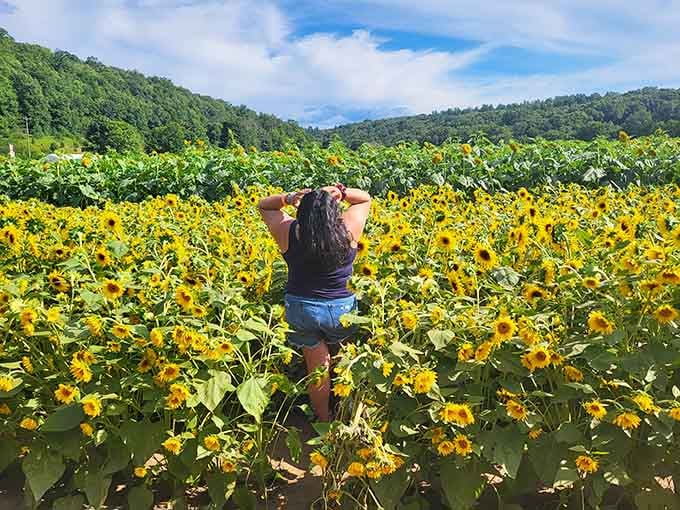 Sometimes the best selfie backdrop doesn't need a filter, just a field of sunflowers and decent timing.