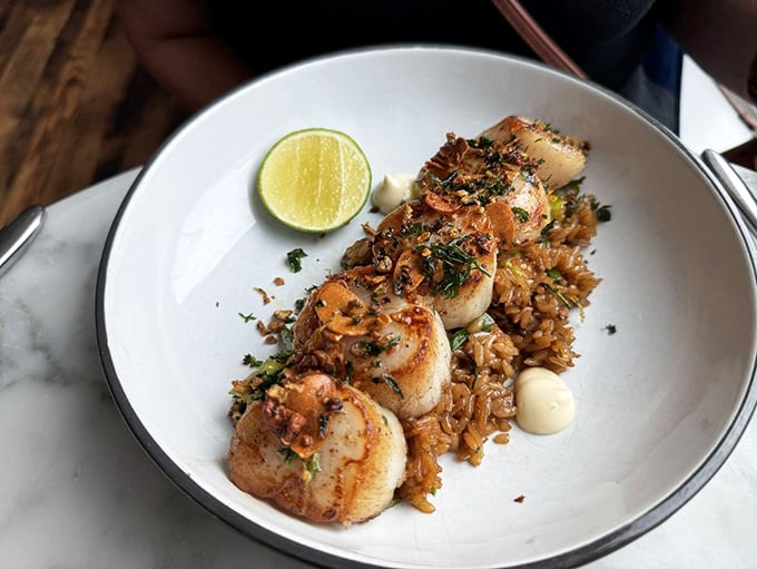 Scallops seared to golden perfection prove that simplicity, when executed flawlessly, beats complexity every single time.