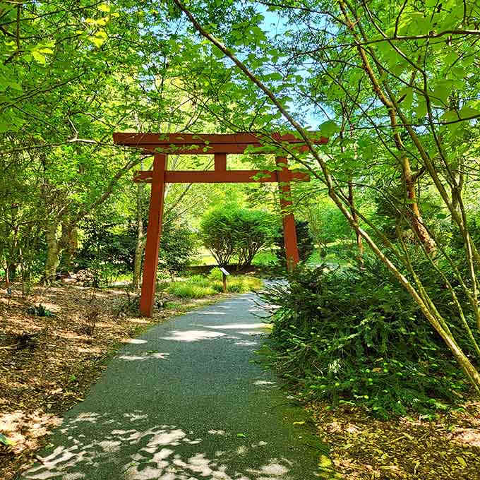 Walking through this traditional torii gate feels like stepping into another world, no passport or jet lag required.