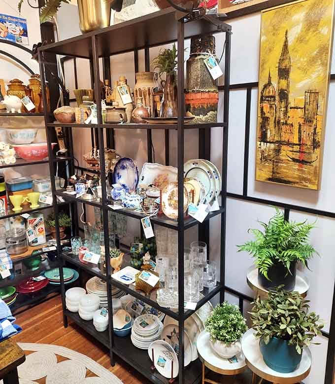 Vintage dishware and glassware arranged with the kind of care usually reserved for museum exhibits.