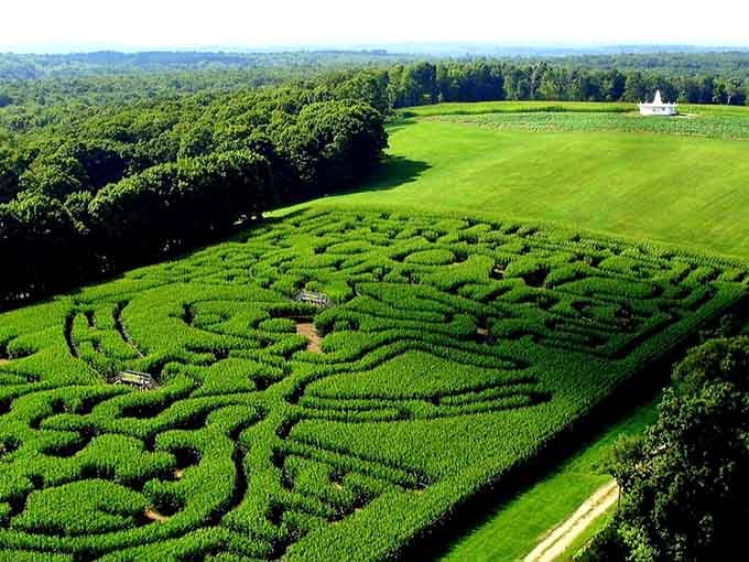 Getting lost in a corn maze is significantly more fun when you're not also lost in mortgage payments.