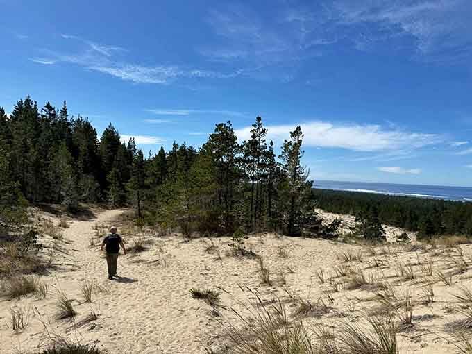 Sand dunes meeting forest? Oregon's full of surprises, like finding out your quiet neighbor used to be a rockstar.